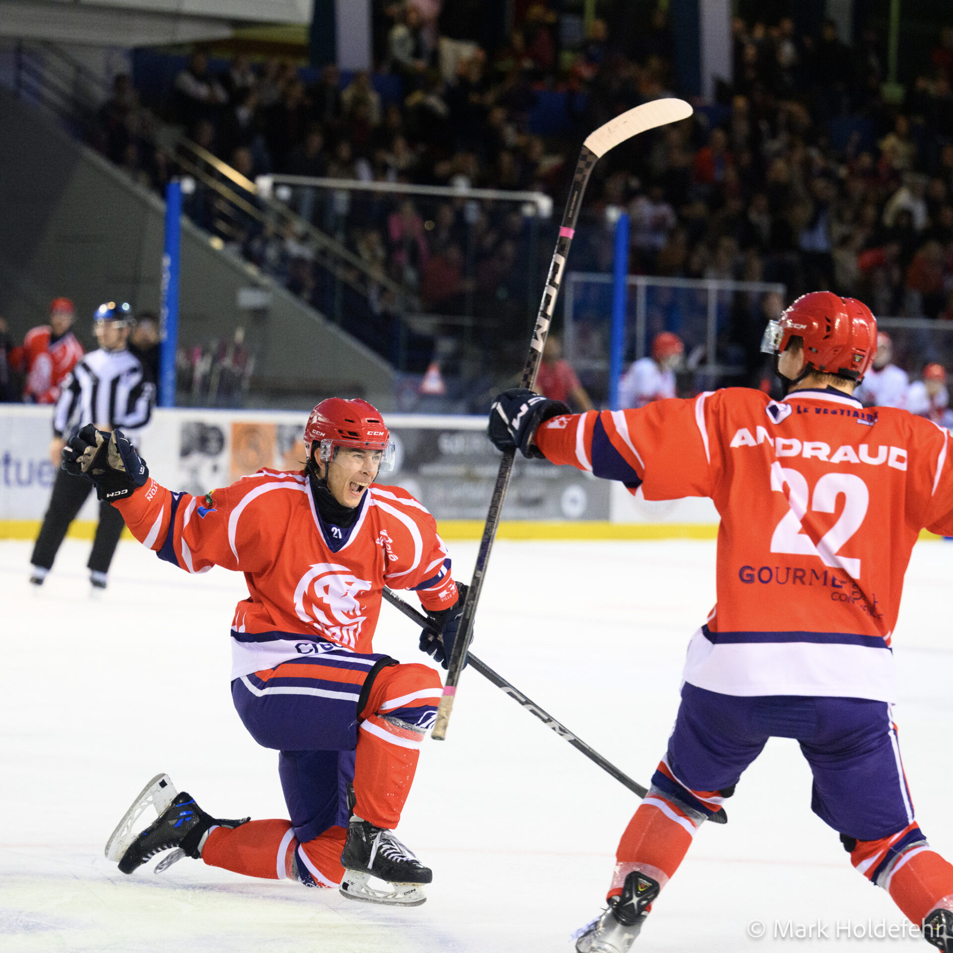 Le Lyon Hockey club sur la plus haute marche du podium